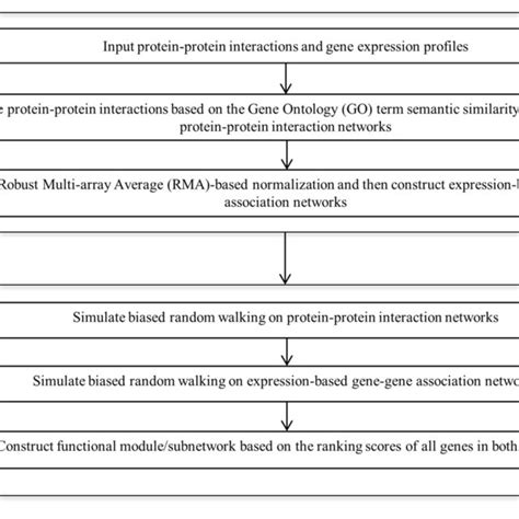 the key steps in the functional module sub network identification