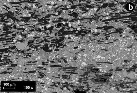Sem Bse Image Of Composites Reinforced With Eucalyptus Pulp A And Download Scientific Diagram