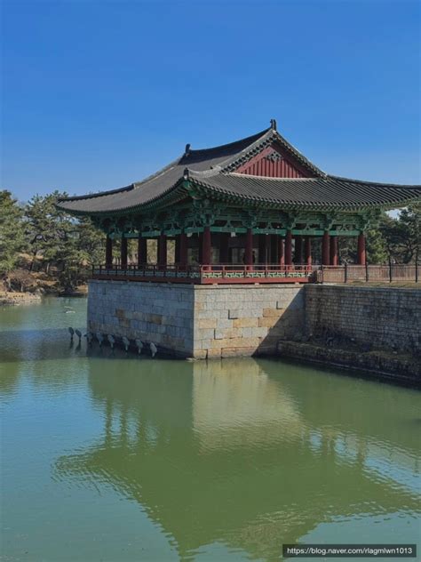 경주 2박 3일ㅣ3일차 일정 카페242 대릉원사진관 경주손칼국수 동궁과 월지 대릉원 네이버 블로그