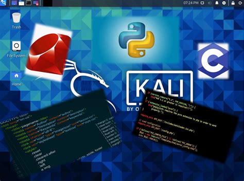 can kali linux be used for programming diy security tips