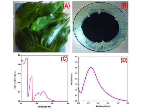 Uv Vis Spectrometric Analysis A T Cattappa Leaf B Synthesized