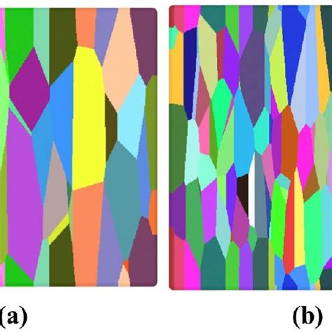 Longitudinal Section Showing The Fully Transformed Microstructure Of