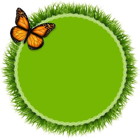 Mysterious Label With Butterfly Chamomile Text Vector Image