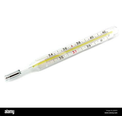 Mercury Thermometer Information At Aaron Copeley Blog