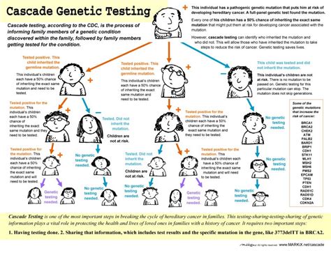 Cascadetesting Genetictesting Previvor Hereditarycancer Mark A Hicks