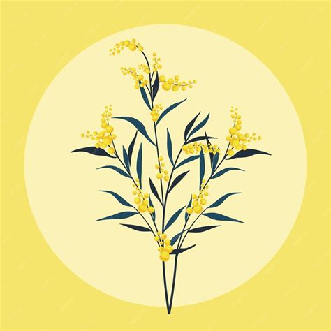 Ilustración De Mimosa De Diseño Plano Dibujado A Mano Vector Gratis