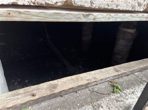 Nathan Mccollom On Linkedin When Our Project Manager Mark Mercado Was Asked If Sam Could Make