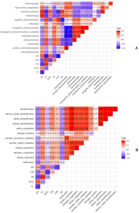 The Relationships Between Soil Bacterial Functional Groups Related To C Download Scientific
