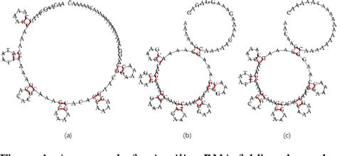 Figure From Bridging Sequence Structure Alignment In RNA Foundation Models Semantic Scholar