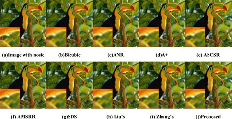 Visual Comparison Of Noise Image “butterfly” 3× Download Scientific