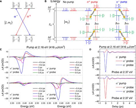 Spin Selective Ose A Optical Selection Rule For The Lowest Singlet Download Scientific