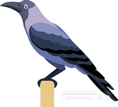 Bird Clipart Crow Bird Clipart
