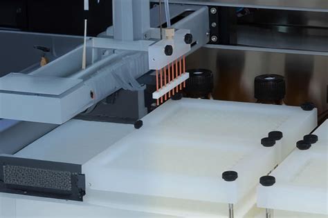 Peptide Library Synthesis Synthesis Of Peptide Library Qyaobio