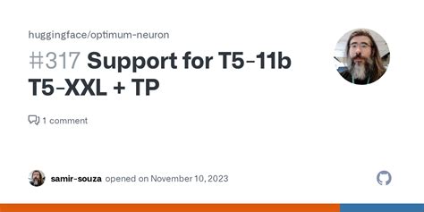 Support For T5 11b T5 Xxl Tp · Issue 317 · Huggingfaceoptimum
