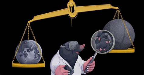 How To Calculate Moles Infographics RSC Education