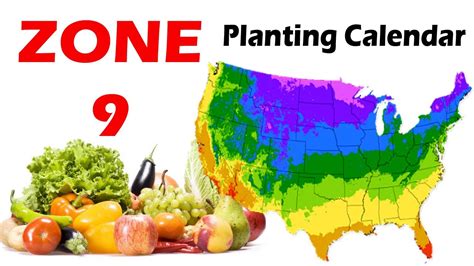 Zone 9 Planting Calendar Guide To Successful Gardening In Zone 9