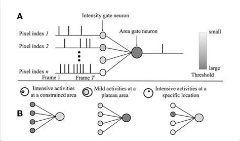 A The Spatial Spiking Neural Network SNN Computing Mechanism The Download Scientific