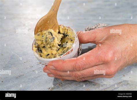 Selbstgemachtes Vogelfutter Wird In Einen Blumentopf Zum Aufhaengen