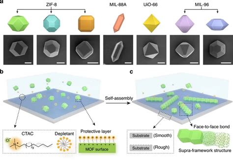 Publications Wanglab