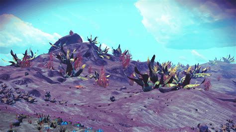 Frisa Lank Vile Anomaly Eissentam Colorshift Pink And Blue