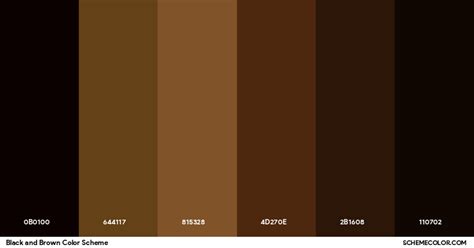 Brown Dark Tones Only Black Vs Brown Hair What Is The Difference
