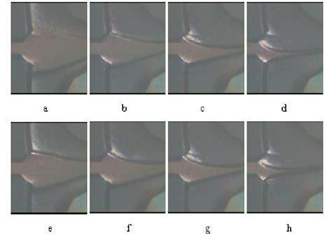 Experimental Results For The Cell And Buffer Concentration Download Scientific Diagram