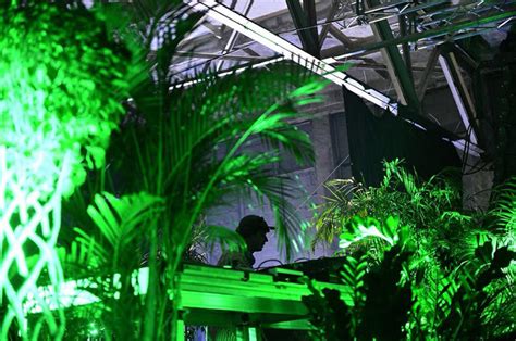 გრინლენდი Greenland ჰოლანდიური მცენარეები ლანდშაფტის დიზაინი სარწყავი სისტემა რულონური