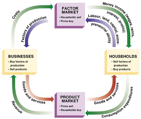The Circular Flow Model Shows The Diagram Sketch My Xxx Hot Girl