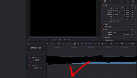다빈치리졸브 편집프로그램 영상 오디오자막 문제 지식in