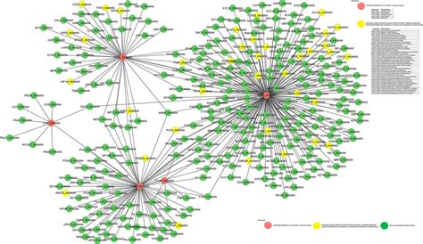 Interactomic Analysis And Construction Of Protein Network
