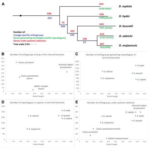 consensus phylogenetic tree estimated using iq tree with 1802 genes and
