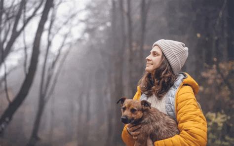 Photowhoa 90 Off Aesthetic Bokeh Overlays Milled