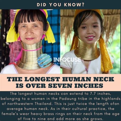 Worlds Longest Neck On A Human At Finn Bosanquet Blog