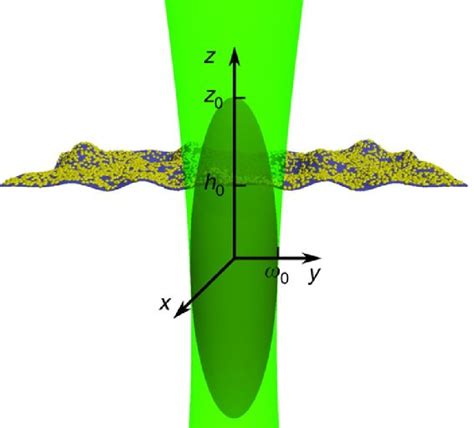 Dynamics Of Membrane Adhesion Ii Institute For Theoretical Physics