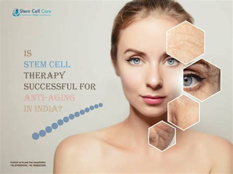 Is Stem Cell Therapy Successful For Anti Aging In India