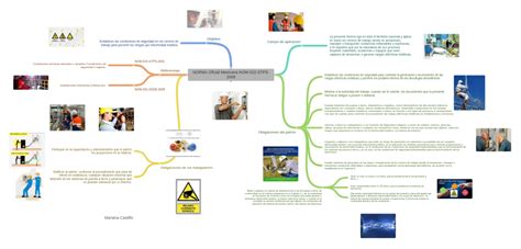 Norma Oficial Mexicana Nom 022 Stps 2008 Mariana Castillo Image Image