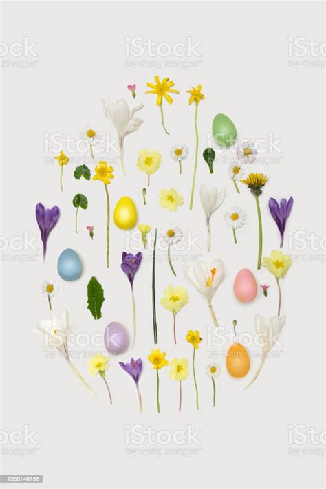 낙관적 최소한의 부활절 개념 작은 페인트 계란과 큰 계란의 모양에 아름다운 봄 꽃의 배열 플랫 평지 베이지 색 배경 0명에 대한 스톡 사진 및 기타 이미지 Istock