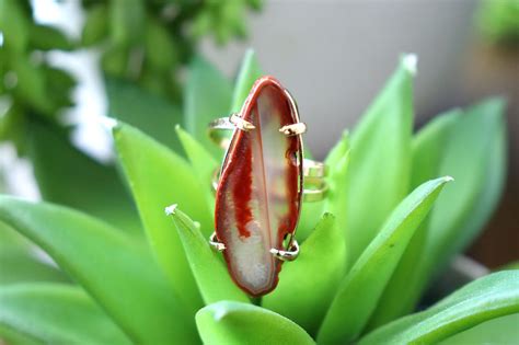 Red Agate Long Ring BÍna