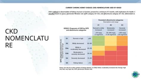 Kdigo 2024 Ckd Guideline Top10 Highlight Pptx
