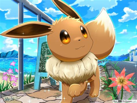 Kawaii Eevee Wallpapers Wallpaper Cave