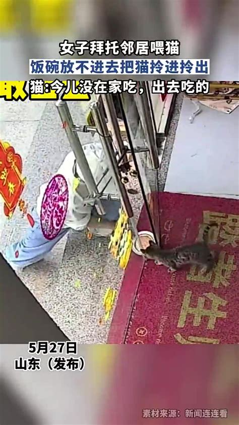 女子拜托邻居喂猫，饭碗放不进去把猫拎进拎出，猫我不要面子的啊