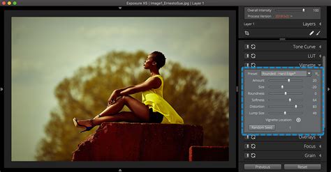 Vignette User Guide Exposure Software