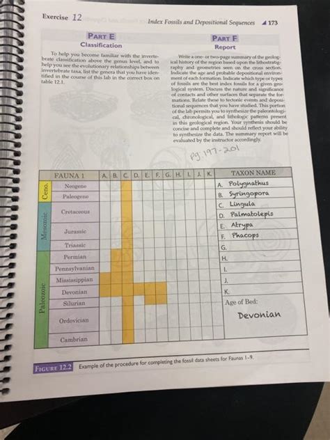 Index Fossils And Depositional Sequences Fauna 3