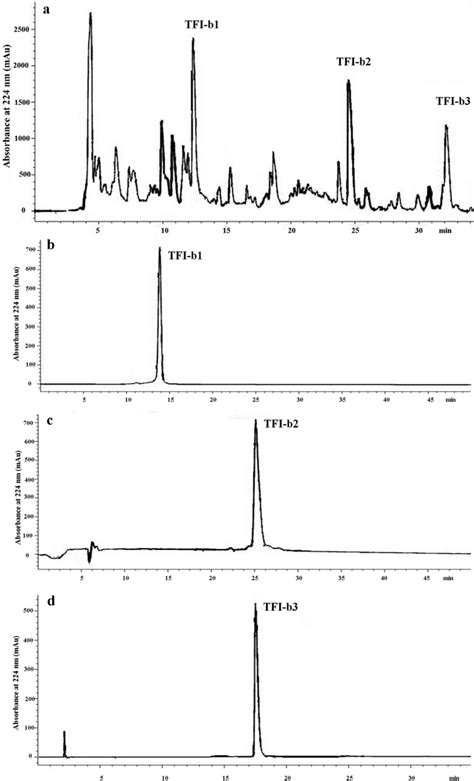 Purification Of Antioxidant Peptides Using By Rp Hplc A Elution Download Scientific Diagram