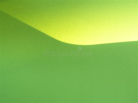 Green Background Abstract Shadow Leaf Plant Spring Organic Eco Light Grass Fresh Backdrop