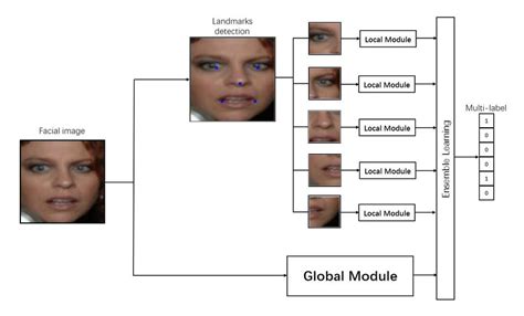 The Pipline Of The Multi Feature Joint Learning Ensemble Mf Jle Download Scientific Diagram