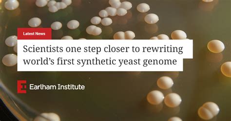Scientists One Step Closer To Rewriting Worlds First Synthetic Yeast Genome Earlham Institute