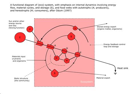 Dynamic Learning Program Definition Softwareweather