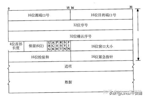 详解tcpip网络协议栈底层原理到徒手实现 知乎