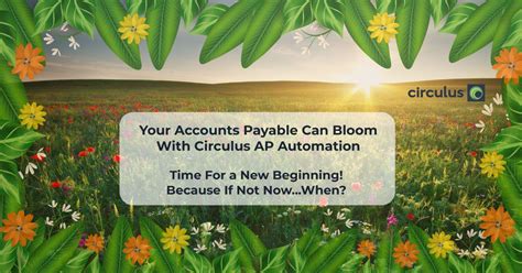 Circulus On Linkedin Apautomation Accountspayableautomation Automateaccountspayable